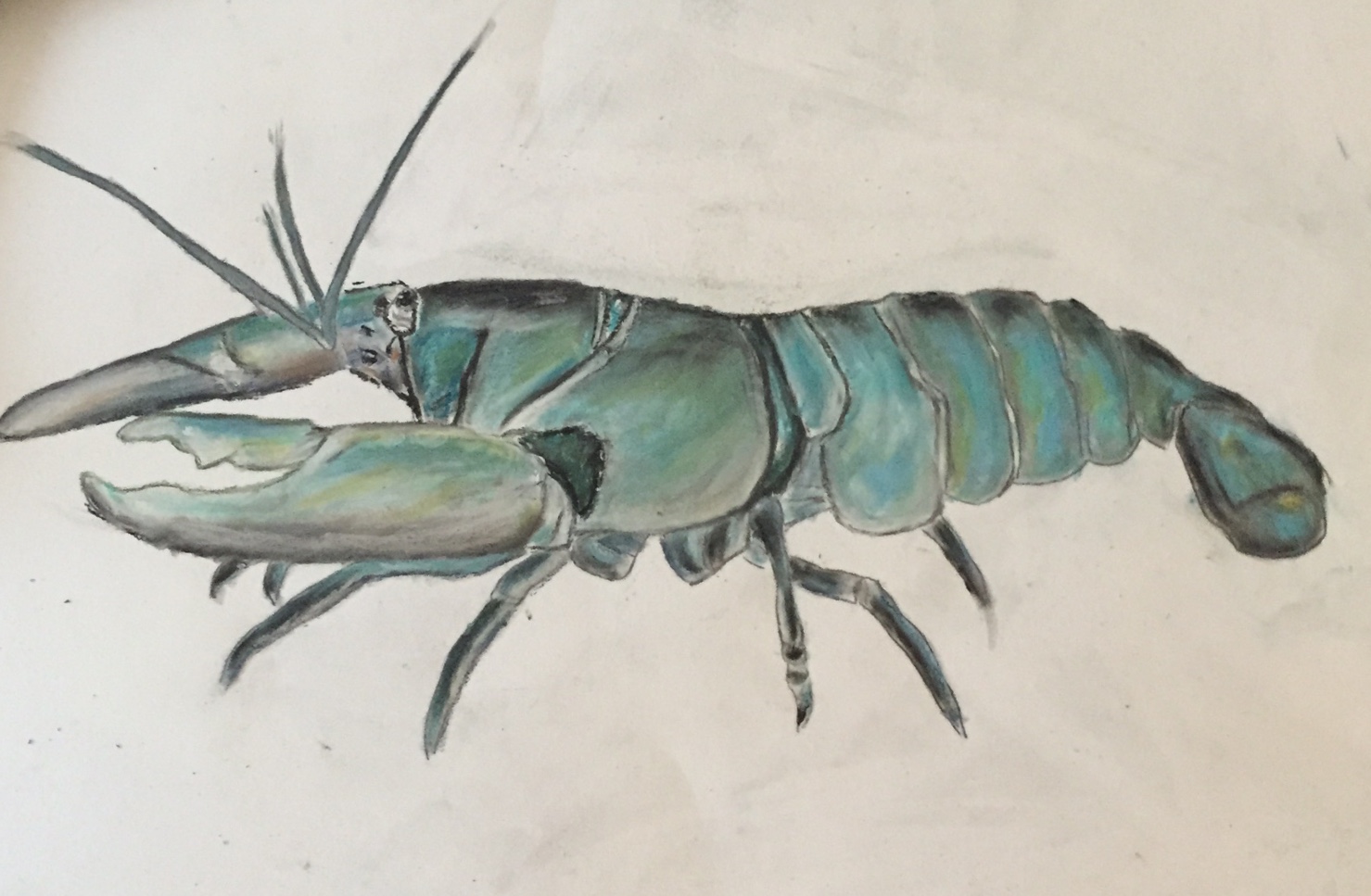 » Blauer Hummer - Petra Feder